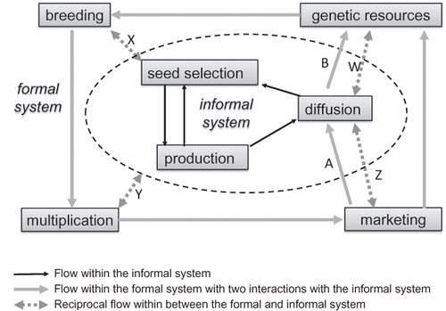 Seed system intro - Slidev